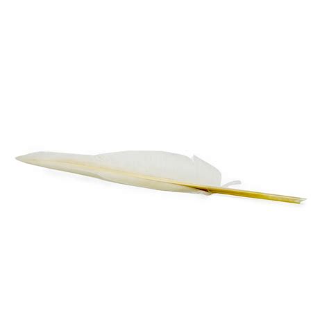 Traditional Cut Nib Goose Quill Pen Etsy