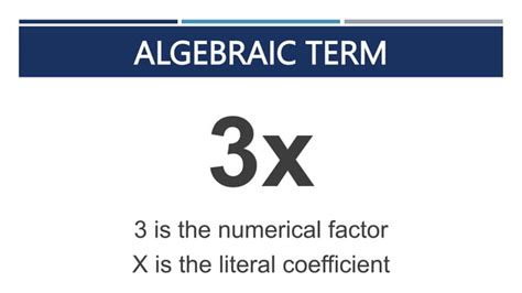 constants variables and algebraic expressions pptx