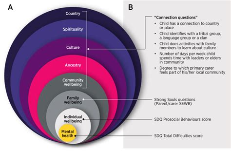 A Conceptual Framework For Social And Emotional Wellbeing Sewb Of Download Scientific
