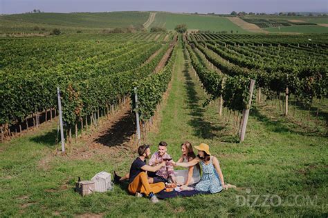 체코 와인 즐기기 좋은 남부 모라비아 와인 투어 여행지 디지틀조선일보디조닷컴 체코 와인 즐기기 좋은 남부 모라비아 와인 투어 여행지 디지틀조선일보디조닷컴