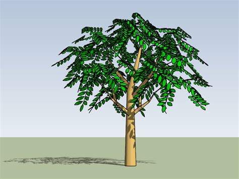 Ash Tree Sketchup 3d Model Skp File Download Sketchupbox