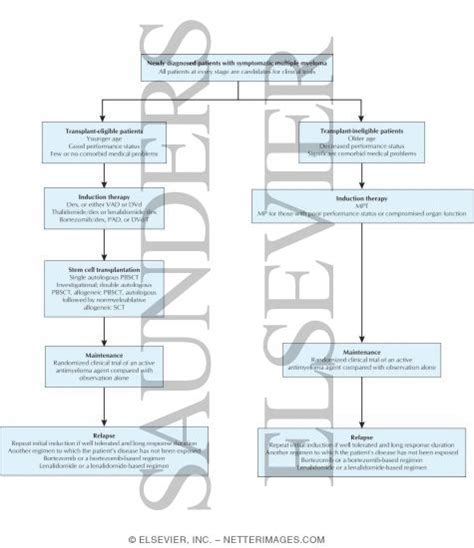 A Current Treatment Algorithm For Multiple Myeloma