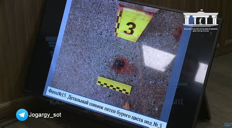 В суде показали фотографии с места смерти Нукеновой