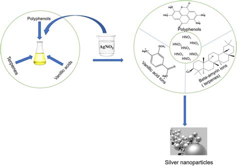 Green Synthesis Of Silver Nanoparticles Methods Biological Applications Delivery And Toxicity