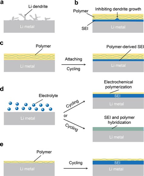 Design Of Polymer‐derived Sei A Diagram Of Li Dendrite Excessive Download Scientific Diagram