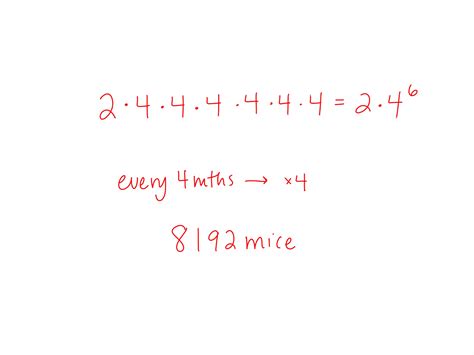 Exploring Exponential Functions PPT