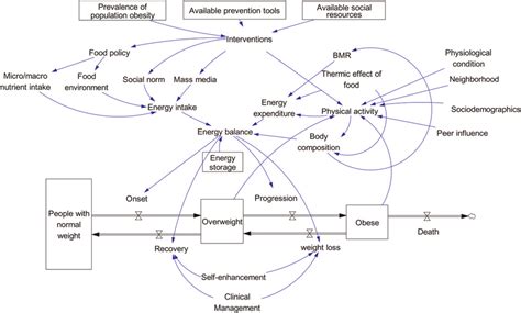Complex Obesity Etiology And Population Dynamics An Example Of The