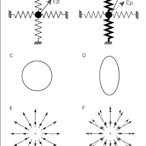 A An Isotropic Two Dimensional Spring The Equilibrium Point