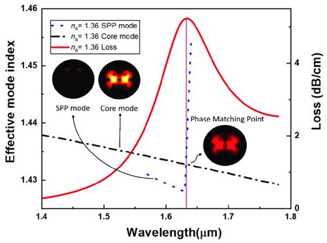Field Distribution Of N A 136 With The Surface Plasmon Polariton Spp Download Scientific