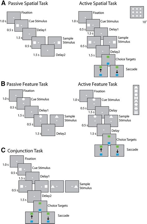 Emergence Of Nonlinear Mixed Selectivity In Prefrontal Cortex After Training Journal Of