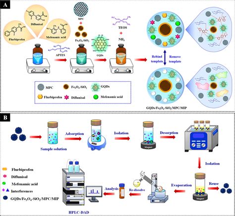 the synthesis of a composite gqds fe3o4 sio2 mpc mip adsorbent for the