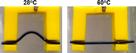 Shape Recovery Behavior Of The 4d Printed Smp Strip Download