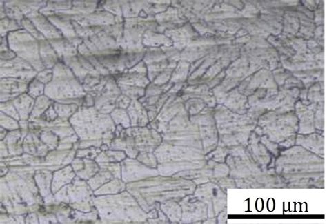 The Microstructure Cp Titanium Cast After Annealed At 900 O C For 2