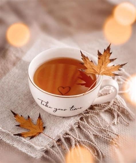 С добрым утром воскресенья Хорошего отдыха В мире достаточно судей А