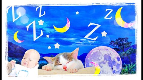 8시간 브람스 자장가 자는내내 편안한 클래식듣기 아기수면음악 피아노 아기자장가 편안한 수면음악 연속듣기 유아 수면유도 음악 Youtube