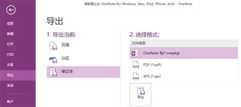 微软禁止从 OneNote for Windows Mac IPad IPhone Android Online 和 OneDrive 备份共享笔记本 数字笔记珍宝 OneNoteGem