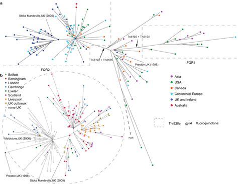 Phylogeny Of C Difficile 027binap1 Based On Core Genome Snps A Phylogeny Of C Difficile 027binap1 Based On Core Genome Snps A