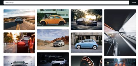 Unsplash Api How To Make Unsplash Clone Javascript Tutorial Dev Community