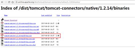 the apache tomcat native library which allows using openssl was not
