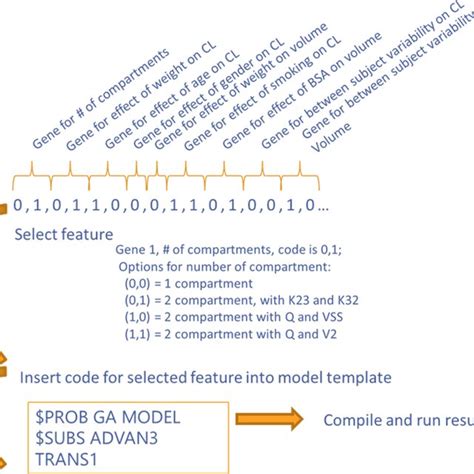 coding of model options into a genome using genetic algorithm cl