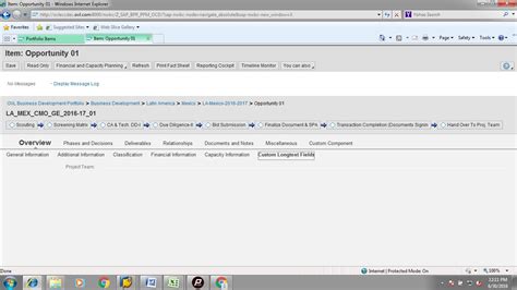 Solved Problem With Custom Long Text Field On Portfolio I SAP Community