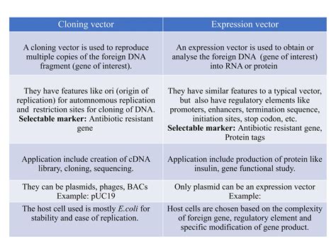 Expression Vectors And Bacteriophage Vectors Pptx