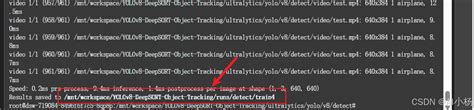 【目标追踪1】基于yolov8deepsort的目标追踪 Yolov8 Deepsort Object Tracking模型训练自己的数据集的史诗级详细教程 Csdn博客