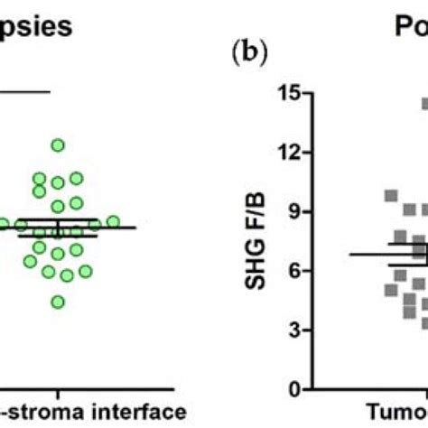 Collagen Fiber Internal Structure As Reported By F B Differ Between Download Scientific