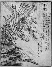 骨伞图册 360百科