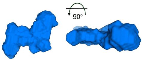 Ab Initio Model Of Recn1dd Resulting From Envelope Reconstruction Using Download Scientific