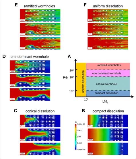 Prediction Of The Evolution Of The Pore Space Of A Micromodel For