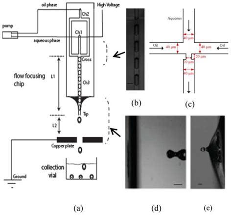 Controlled Generation Of Double Emulsions In Air Abstract Europe PMC