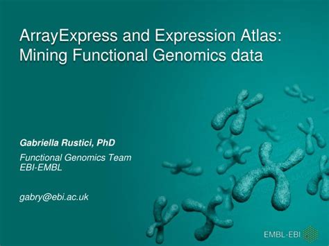 Ppt Arrayexpress And Expression Atlas Mining Functional Genomics Data Powerpoint Presentation