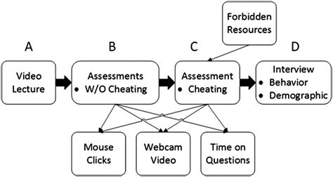 The Four Phases Of Experimental Procedures Notes The Experiment Was A