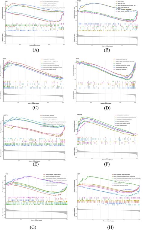 Single Gene Gene Set Enrichment Analysis Gsea Kyoto Encyclopedia Of Download Scientific