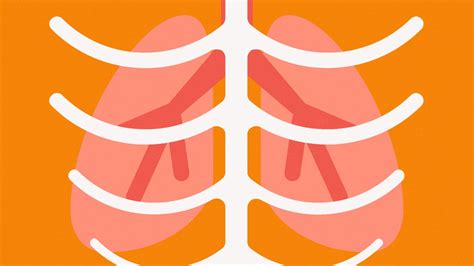 Non Small Cell Lung Cancer Symptoms Treatment And More Everyday Health