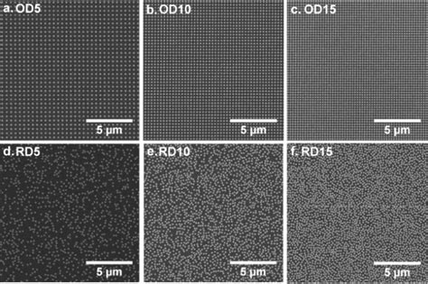 Optics Of Nanostructures 1 Physikalisches Institut University Of Stuttgart