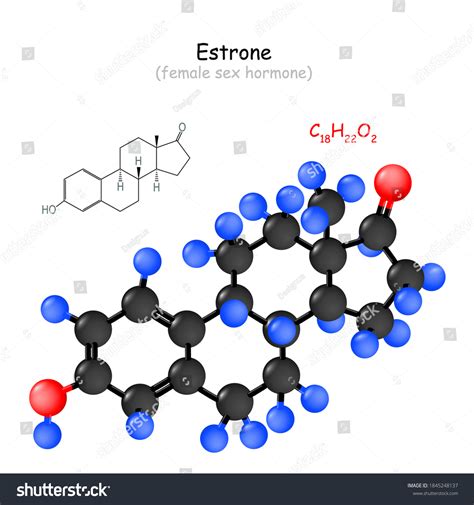 Estrone Female Sex Hormone Chemical Structural Stock Vector Royalty Free Shutterstock