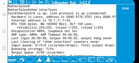 What Is The Differences Between The Show Interfaces Command And The Show Ip Interfaces Command