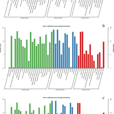 Transcript Go Annotation Classification Statistics Graph In Three