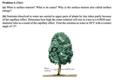 Solved Problem 6 20pt A What Is Surface Tension What