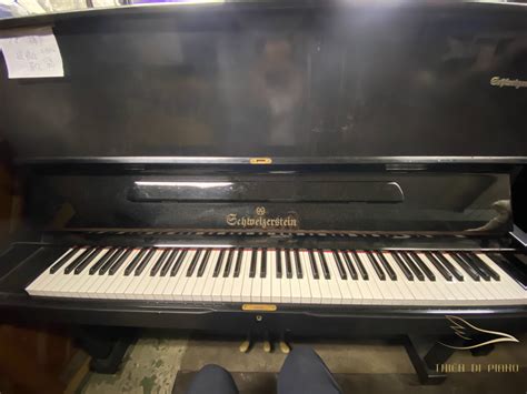 N Piano Schweizerstein Piano For You