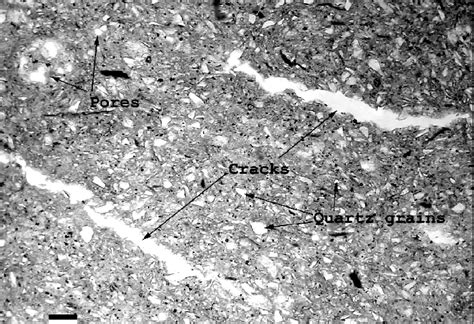 Microstructure Of The Ceramics 1300˚c1300˚c Nii 0 125mm Bar Download Scientific Diagram