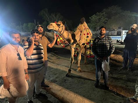 Bangladeshi পাকিস্তানে কুরবানির ঈদ উপলক্ষে এই সুন্দর উটটি বিক্রি হয়ে যায় মাত্র ৬ লাখ ৫০