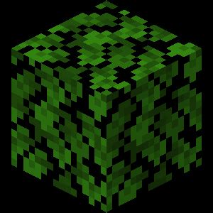 Minecraft Leaf Block Texture
