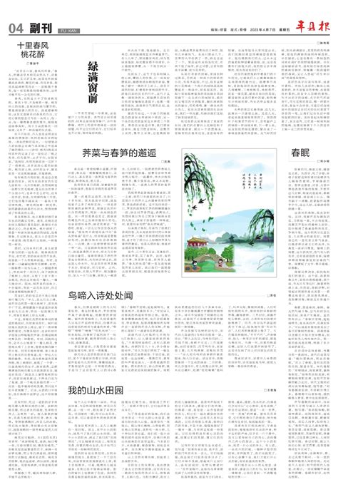 图 图片 丰县报