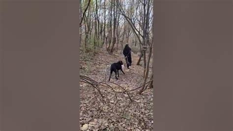 오지 탐험 반려문화그래 모르는게 장땡이다행복할 권리나 주장하자 Youtube