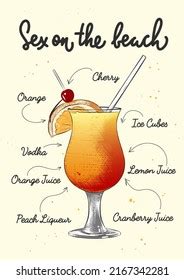 Beach Bar Drawing Images Stock Photos Vectors Shutterstock