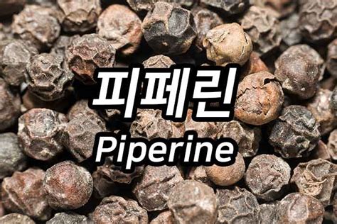 피페린바이오페린 후추속 물질 Elixir Code