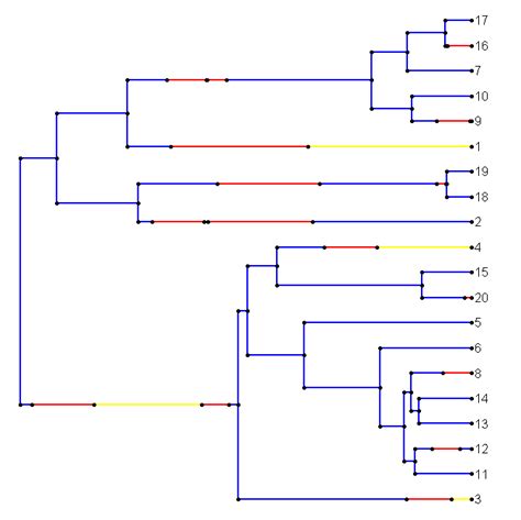 Phylogenetic Tools For Comparative Biology New Plotting Options In Plotsimmap